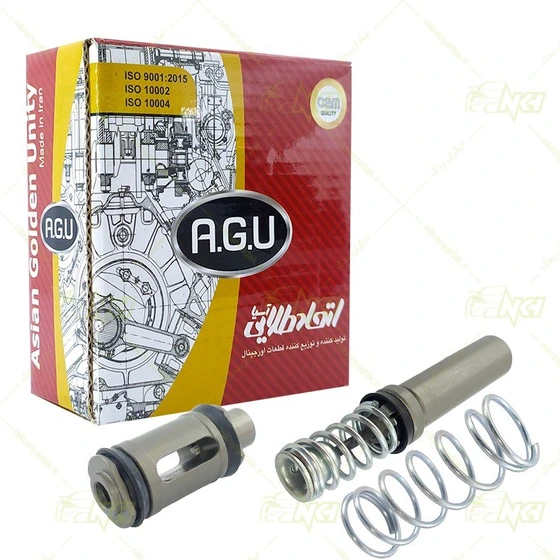 خرید و قیمت لوازم پمپ ترمز کامل دو پیستون AGU-ABS 405 | ترب