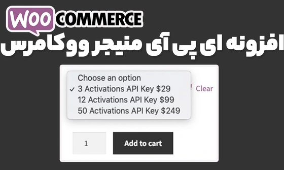 خرید و قیمت افزونه ای پی آی منیجر ووکامرس Woocommerce Api Manager 310 ترب