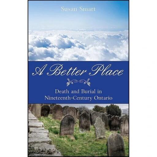 خرید و قیمت کتاب زبان اصلی A Better Place اثر Susan Smart | ترب