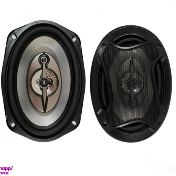 خرید و قیمت بلندگوی خودرو مدل TS-6972 | ترب