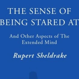 خرید و قیمت کتاب The Sense of Being Stared At: And Other Unexplained ...