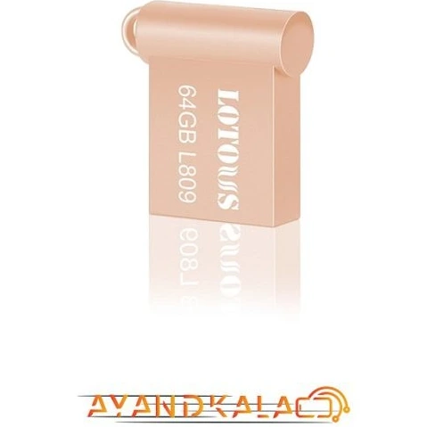 خرید و قیمت فلش 64 گیگ لوتوس مدل Lotous L809 | ترب