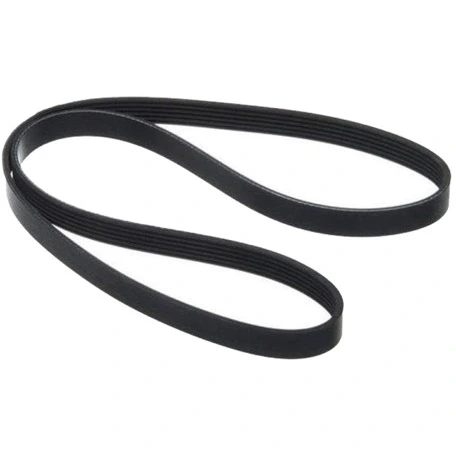 خرید و قیمت تسمه دینام 206 - تیپ 2 - 1565 - عظام | ترب