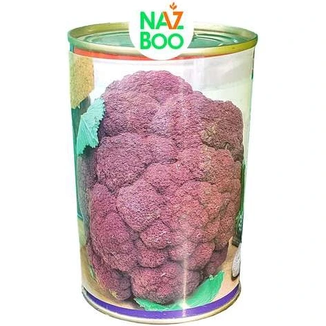 خرید و قیمت بذر گل کلم بنفش ویولت | ترب