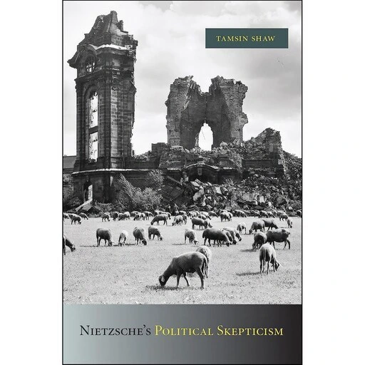 خرید و قیمت کتاب زبان اصلی Nietzsches Political Skepticism اثر Tamsin ...