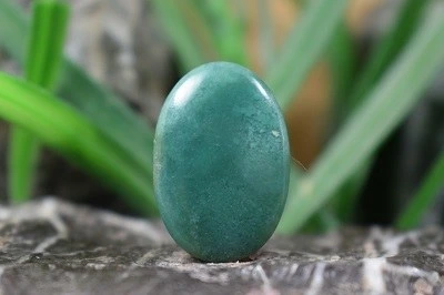 خرید و قیمت متورولایت S1091 | ترب