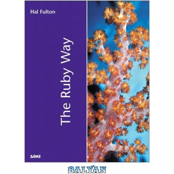 خرید و قیمت دانلود کتاب The Ruby Way ترب