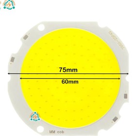 خرید و قیمت ال ای دی ۵۰ وات ۱۲ ولت سفید مدل LY-7660-2B50C | ترب