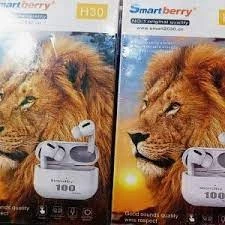 خرید و قیمت ایرپاد اورجینال Smart Berry H30 | ترب