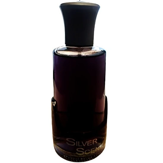 خرید و قیمت عطر مردانه لوکا بوسی Luca Bossi مدل سیلور سنت بوگارت 100ml ...