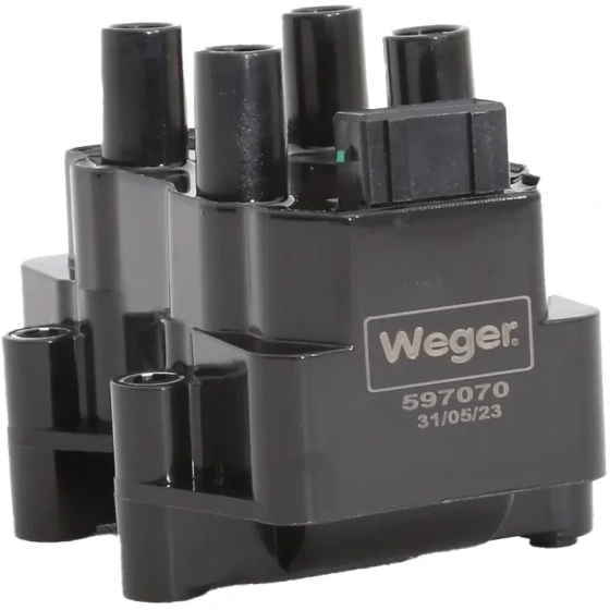 خرید و قیمت کویل سیستم ساژم 405 | وگر - Weger | ترب