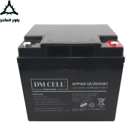 خرید و قیمت باتری سیلد لید اسید DM CELL WP42-12 300W | ترب