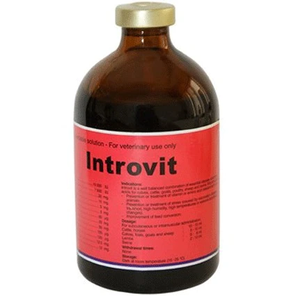 خرید و قیمت introvit | ترب