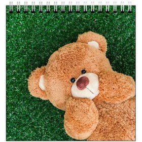 خرید و قیمت دفتر طراحی طرح خرس در چمن کد 2072500 | ترب