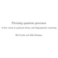 خرید و قیمت دانلود کتاب Picturing Quantum Processes: A First Course in Quantum Theory and ...