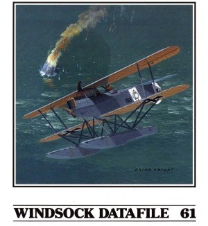 خرید و قیمت دانلود کتاب Brandenburg W 12 (Windsock Datafile 61) 1997 | ترب