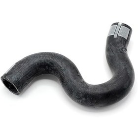 خرید و قیمت شیلنگ ورودی رادیاتور بالا پژو 206 تیپ 5 TU5 برند TPco | ترب