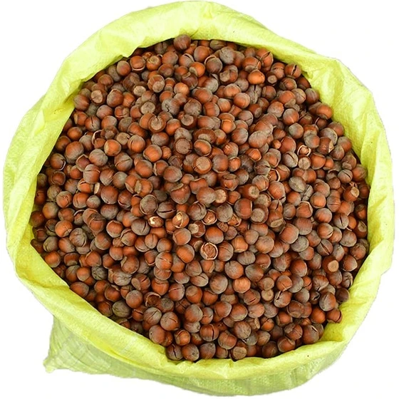 خرید و قیمت فندق خام بسته 10 کیلویی | ترب