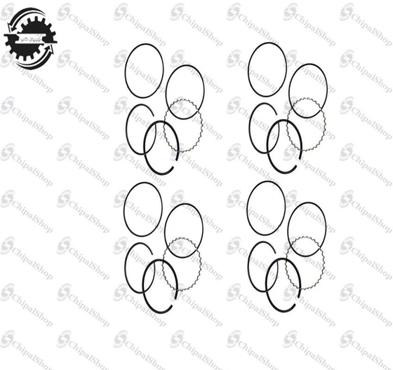 خرید و قیمت رینگ موتور 0.25 تعمیر اول (سمند موتور ملی EF7) NE آلمانی | ترب