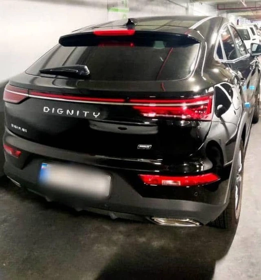 خرید و قیمت دیگنیتی پرایم مدل 1403 ا Dignity Prime | ترب