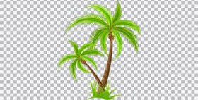 خرید و قیمت دانلود تصویر PNG تصویرسازی درخت نخل | ترب