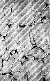 خرید و قیمت دانلود کتاب Essai sur le culte et les mysteres de Mithra 2002 ا کتاب فرانسوی مقاله ...