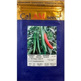 خرید و قیمت بذر فلفل قلمی تند هیبرید اسپایک Cal AM | ترب