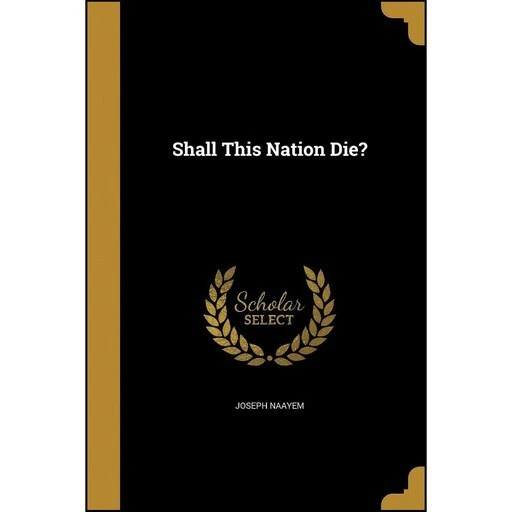 خرید و قیمت کتاب زبان اصلی Shall This Nation Die اثر Joseph Naayem | ترب