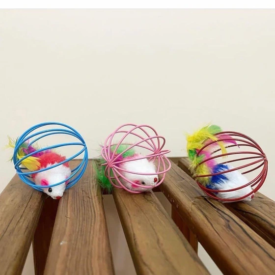 خرید و قیمت موش در قفس | ترب