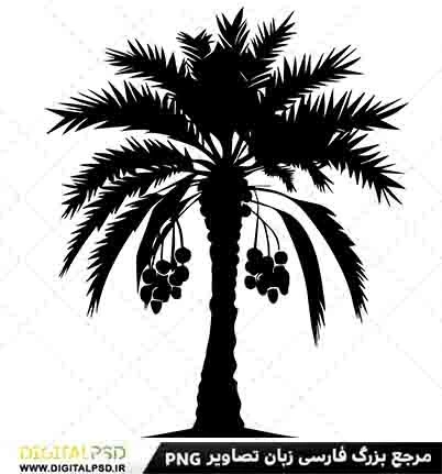 خرید و قیمت دانلود وکتور لایه باز درخت نخل | ترب