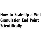 خرید و قیمت دانلود کتاب How to Scale-Up a Wet Granulation End Point ...