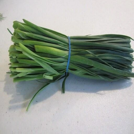 خرید و قیمت بذر گیاه و سبزی تره ایرانی - Persian Leek Herb Seed | ترب
