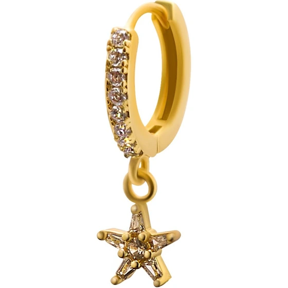 خرید و قیمت پیرسینگ گوش مدل PS173_A | ترب