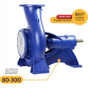 خرید و قیمت پمپ گل کش پمپیران Pumpiran ETA 80-300 | ترب