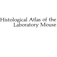 خرید و قیمت دانلود کتاب Histological Atlas of the Laboratory Mouse 1982 ...
