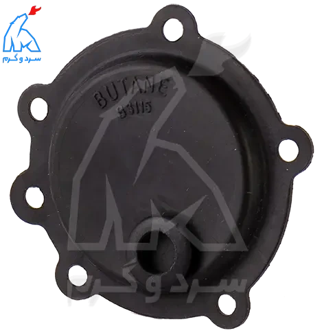 خرید و قیمت دیافراگم آبگرمکن B3115 بوتان - 10 عددی | ترب