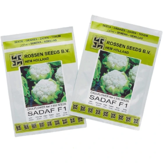 خرید و قیمت بذر گل کلم صدف روزن سیدز | Rossen seeds | ترب