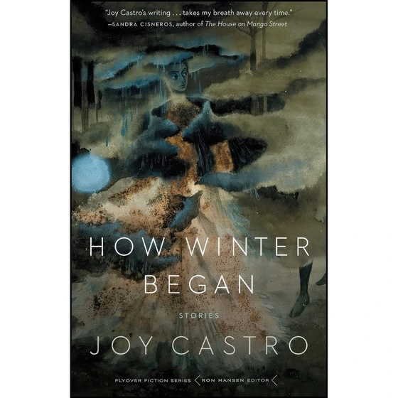 خرید و قیمت کتاب How Winter Began اثر Joy Castro انتشارات University of ...
