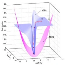 خرید و قیمت A new convex objective function for the supervised learning ...