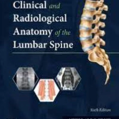 خرید و قیمت Clinical And Radiological Anatomy Of The Lumbar Spine 6Ed ...