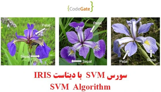 خرید و قیمت سورس طبقه بندی داده های Iris با الگوریتم SVM | ترب