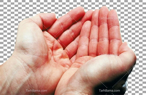 خرید و قیمت عکس دست در حالت دعا | ترب