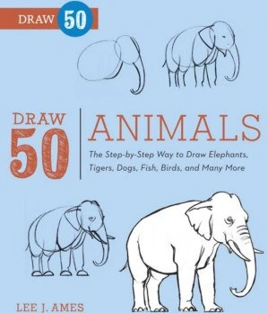 خرید و قیمت کتاب Draw 50 Animals نسخه کامل | ترب