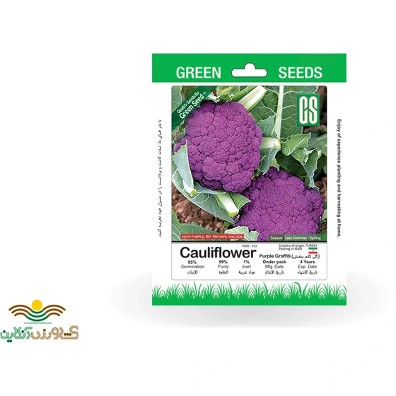 خرید و قیمت بذر خانگی گل کلم بنفش سینا | ترب