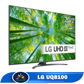 خرید و قیمت تلویزیون هوشمند ال جی مدل 43UQ8100 سایز ۴۳ اینچ LED Ultra ...