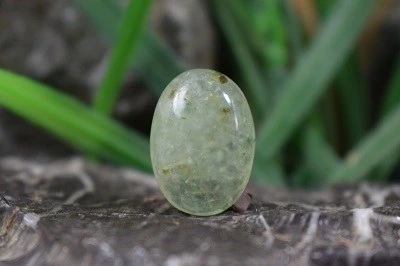 خرید و قیمت پرهنیت S788 | ترب