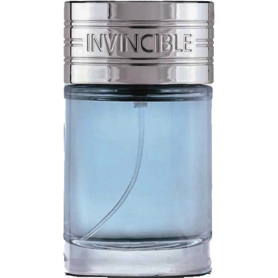 خرید و قیمت ادوپرفیوم مردانه نیو برند (New brand) مدل Invincible 100 ...