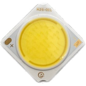 خرید و قیمت COB M25 (20W) 600MA (CW) | ترب