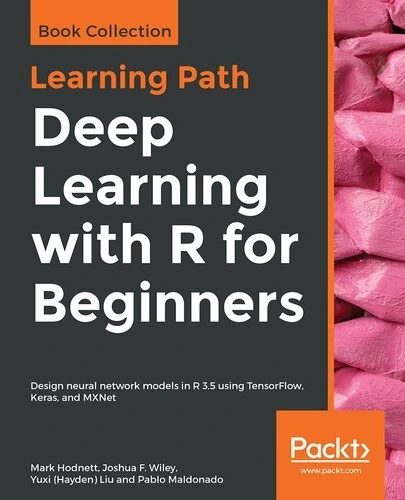 خرید و قیمت دانلود کتاب Deep Learning with R for Beginners 2019 ا کتاب ...