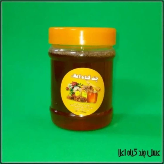 خرید و قیمت عسل چند گیاه اعلا نیم کیلویی تقویت سیستم ایمنی بدن و تصفیه کننده خون و ضدسرفه و